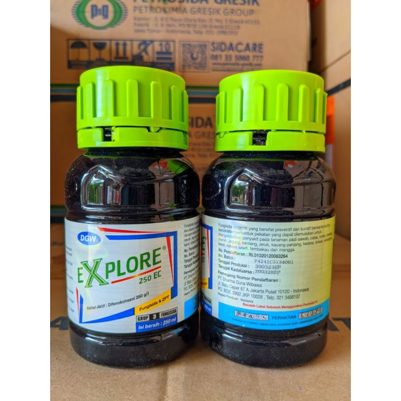 Jual FUNGISIDA EXPLORE 250 EC KEMASAN 250 ML | Shopee Indonesia