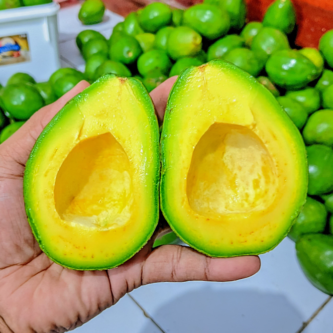 Jual Alpukat Mentega Super 1kg isi 5-6 SUPER LEGIT | Shopee Indonesia