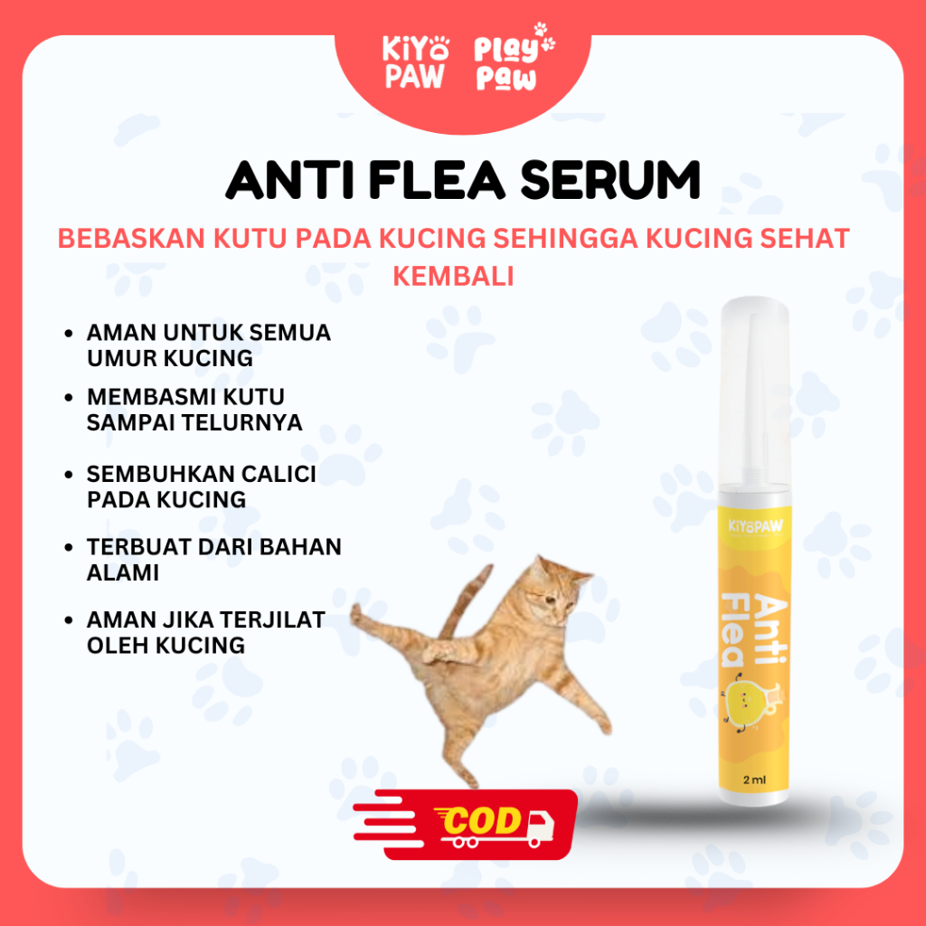 Jual Kiyopaw obat kutu kucing obat scabies kucing pembasmi kutu kucing ...
