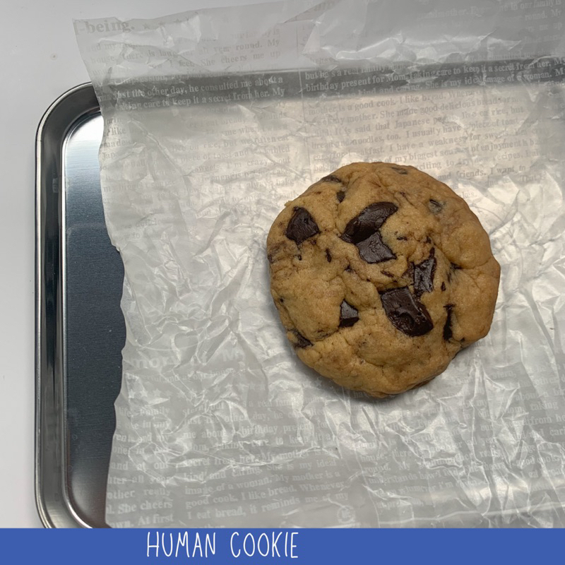 Jual Buttersays | Human Cookie | soft baked cookie choc coklat original ...