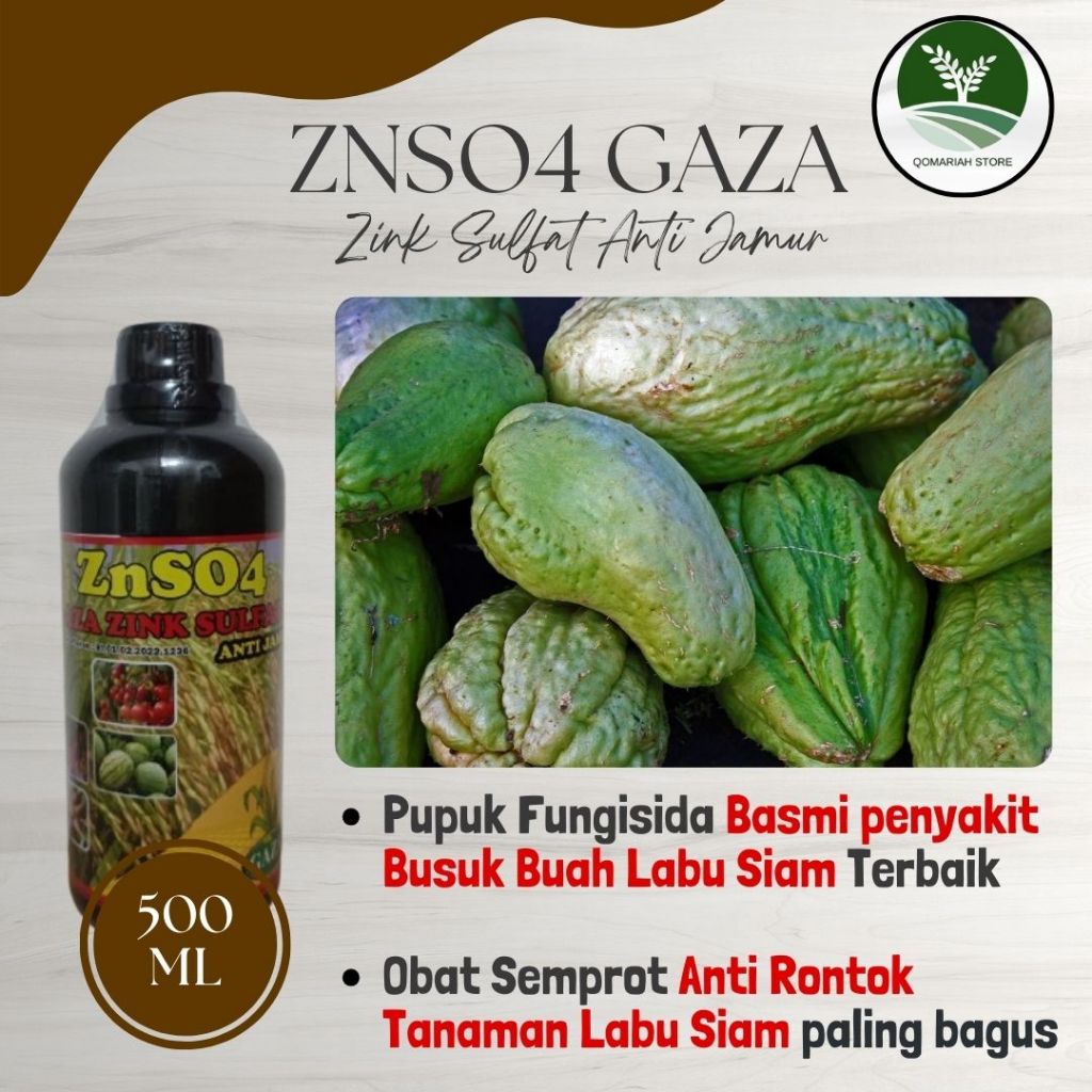 Jual Obat Semprot Busuk Buah Labu Siam Terbaik - ZNSO GAZA - Pupuk ...