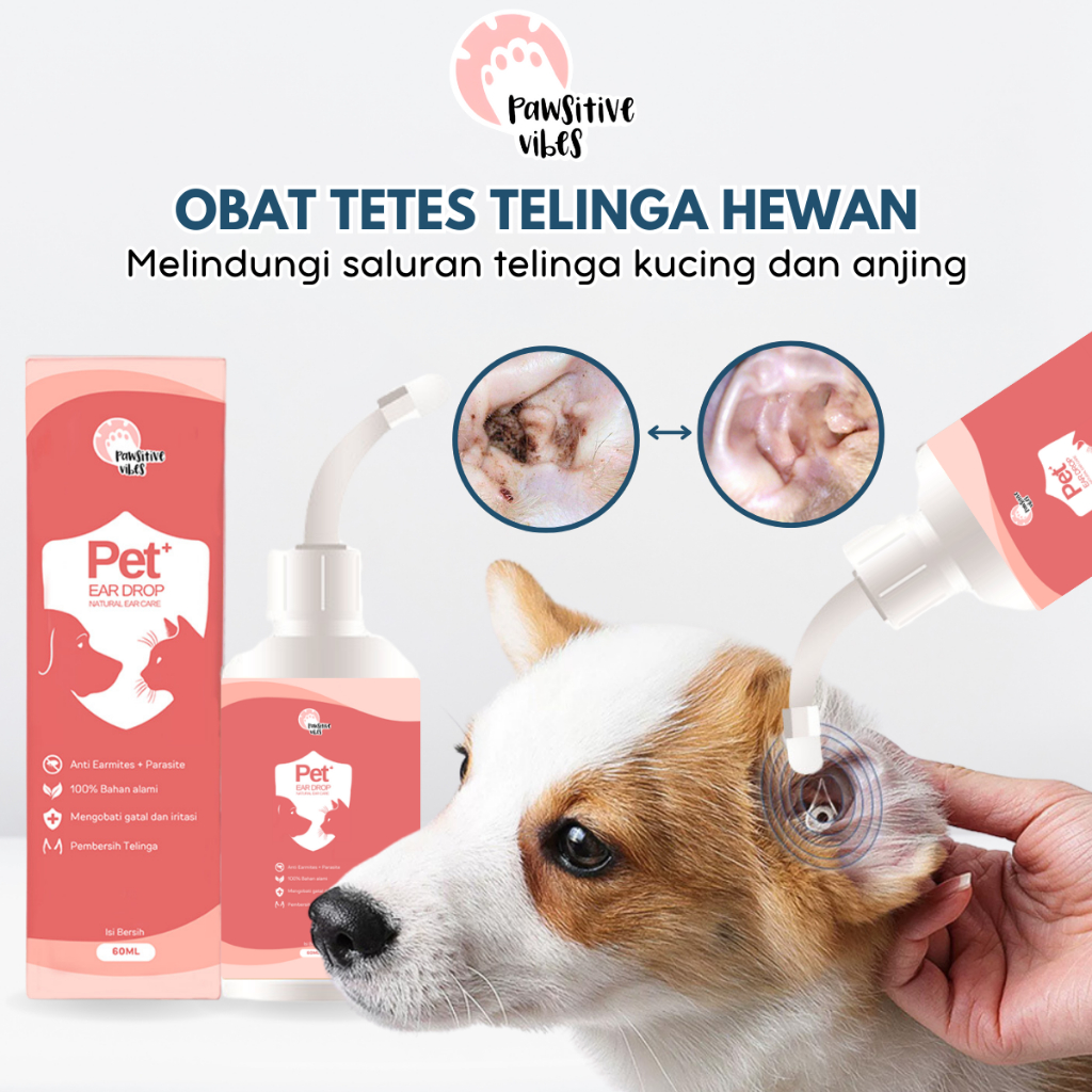 Jual Obat tetes telinga kucing / obat telinga kucing / tetes telinga ...