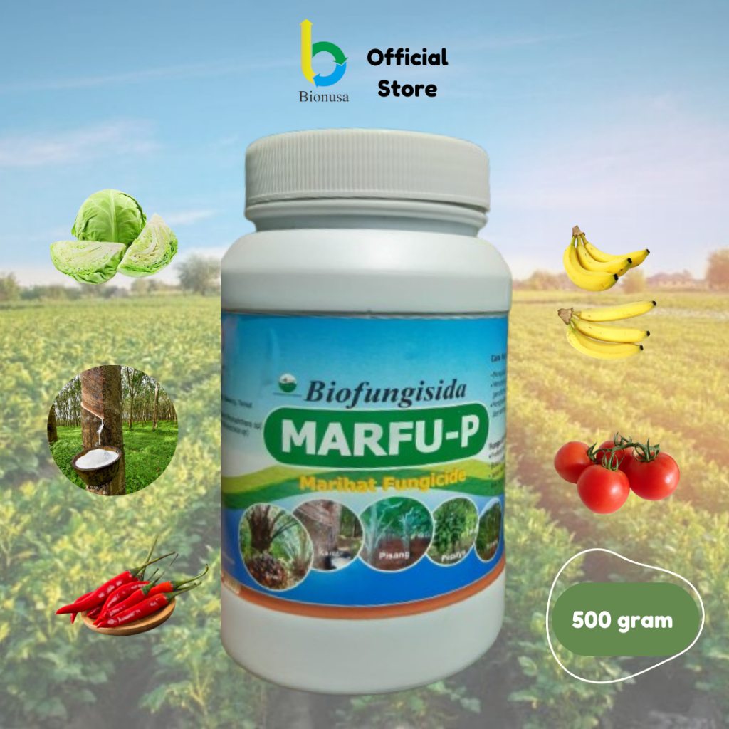 Jual Biofungisida Trichoderma (Pupuk Organik) Marfu-P 500 Gram | Shopee ...