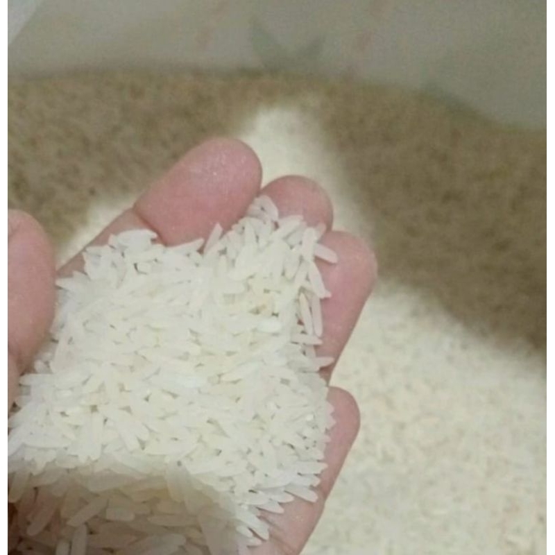 Jual BERAS SIAM UNUS BANJAR 1 liter | Shopee Indonesia