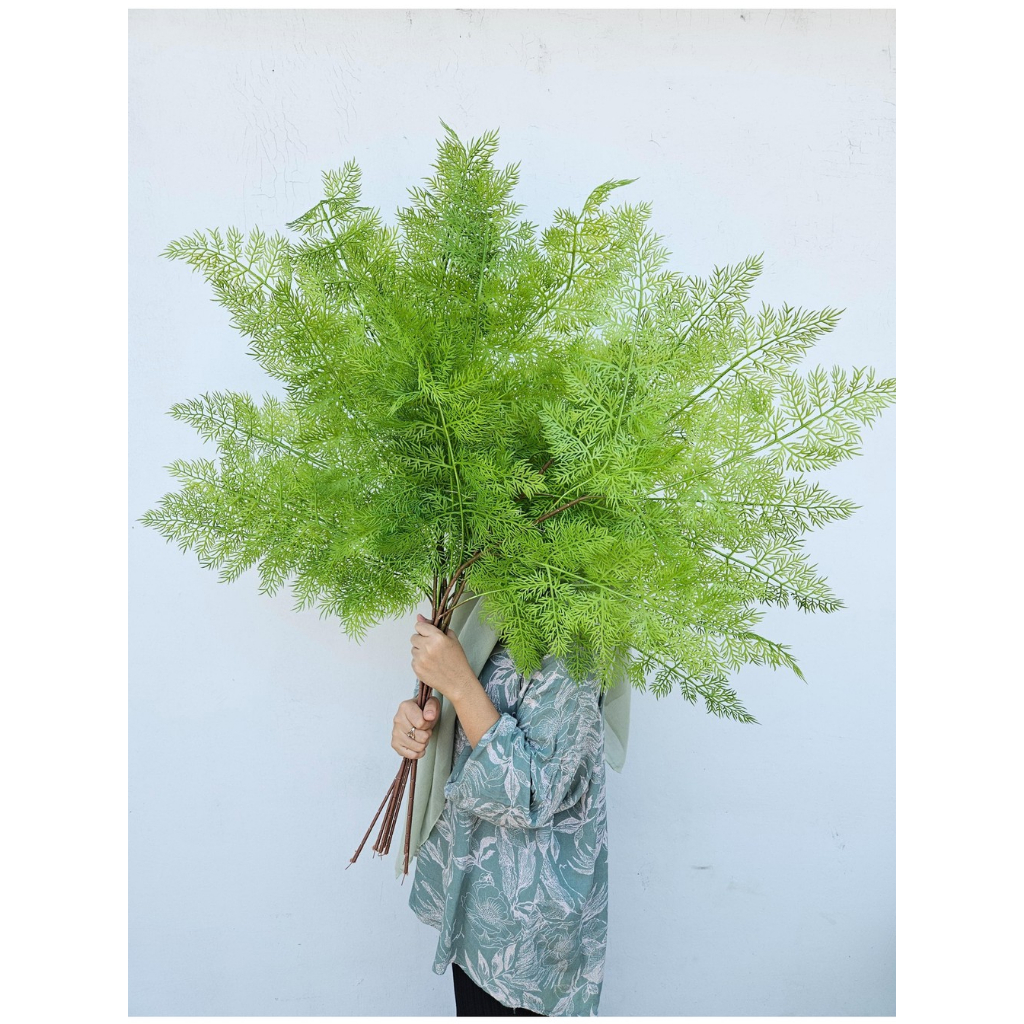 Jual Bunga artificial Daun Cemara Premium Asparagus Tangkai Panjang ...
