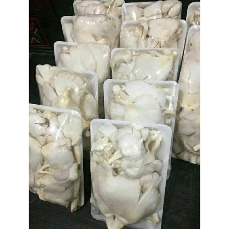 Jual Jamur Tiram Kemasan 250g | Shopee Indonesia