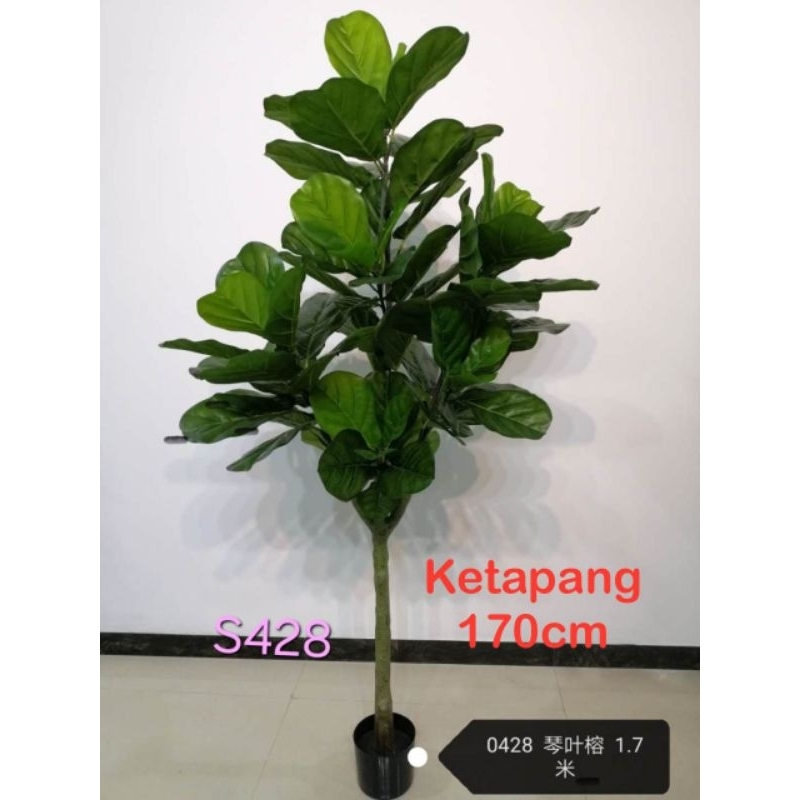 Jual S.428 POHON KETAPANG/KETAPANG ARTIFICIAL | Shopee Indonesia