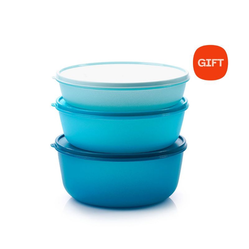 Jual MODULAR BOWL SET BIRU TUPPERWARE/ 4L + 3L + 2L | Shopee Indonesia