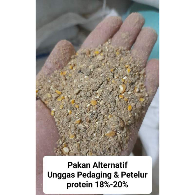 Jual PAKAN AYAM BEBEK ENTOK PETELUR | Shopee Indonesia