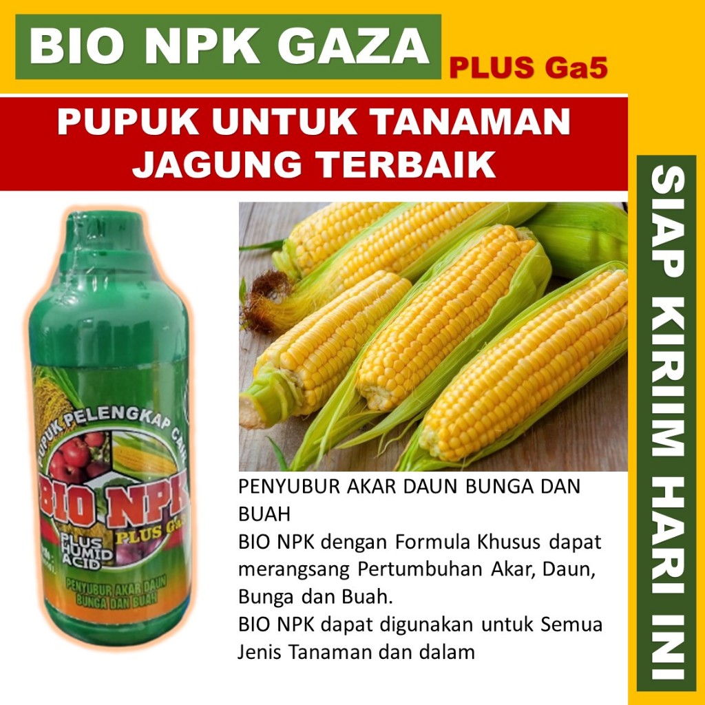 Jual bio npk gaza 500 ml pupuk Booster Jagung, Obat Semprot Untuk Tanaman Jagung, Bosster Jagung ...