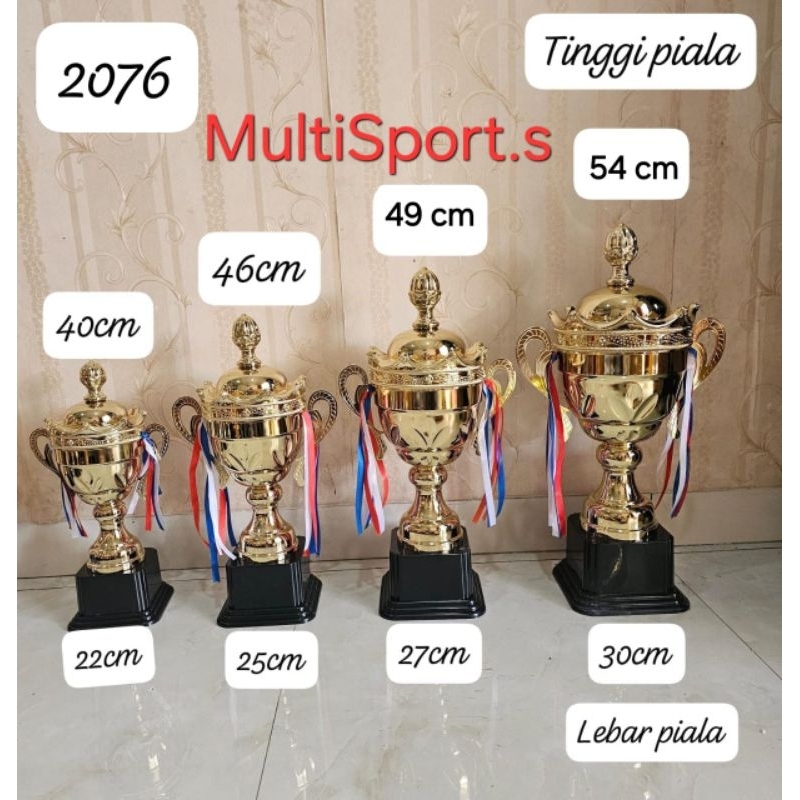 Jual PIALA TROPHY IMPORT LOGAM/METAL 2076 1 PC | Shopee Indonesia