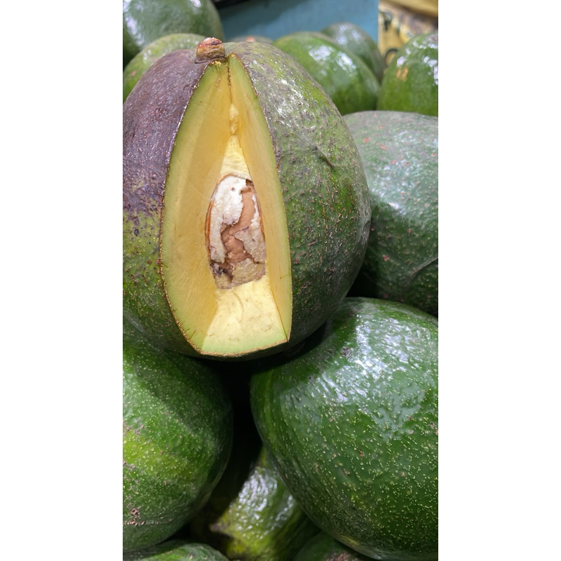 Jual BUAH ALPUKAT MARKUS / ALIGATOR JUMBO 1KG DAPAT 1BIJI JUMBOO ...