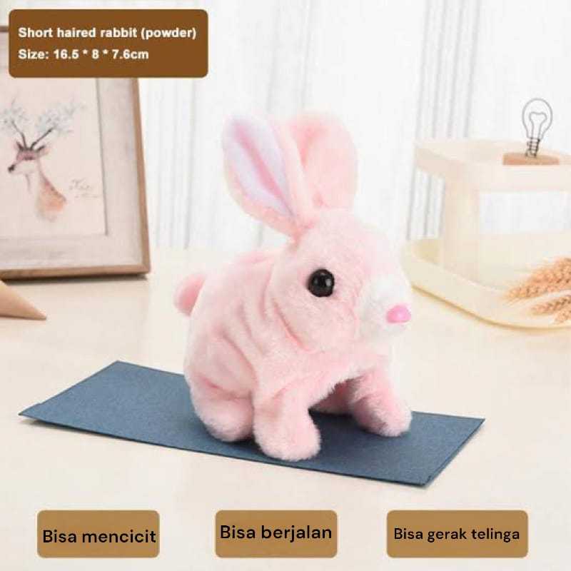 Jual Mar and Queen Mainan anak boneka kelinci dan boneka anjing ...