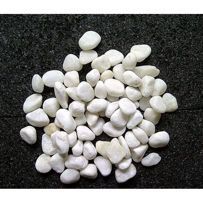Jual batu putih koral - koral putih untuk hiasan taman | Shopee Indonesia