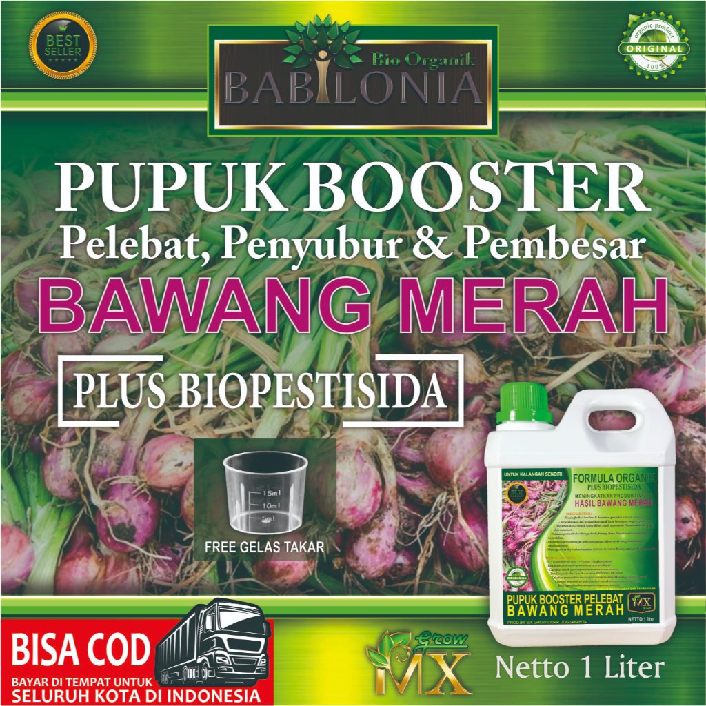 Jual Pupuk Organik Cair Pelebat Penyubur Pembesar Bawang Merah 1 Liter / Booster Tanaman Bawang ...