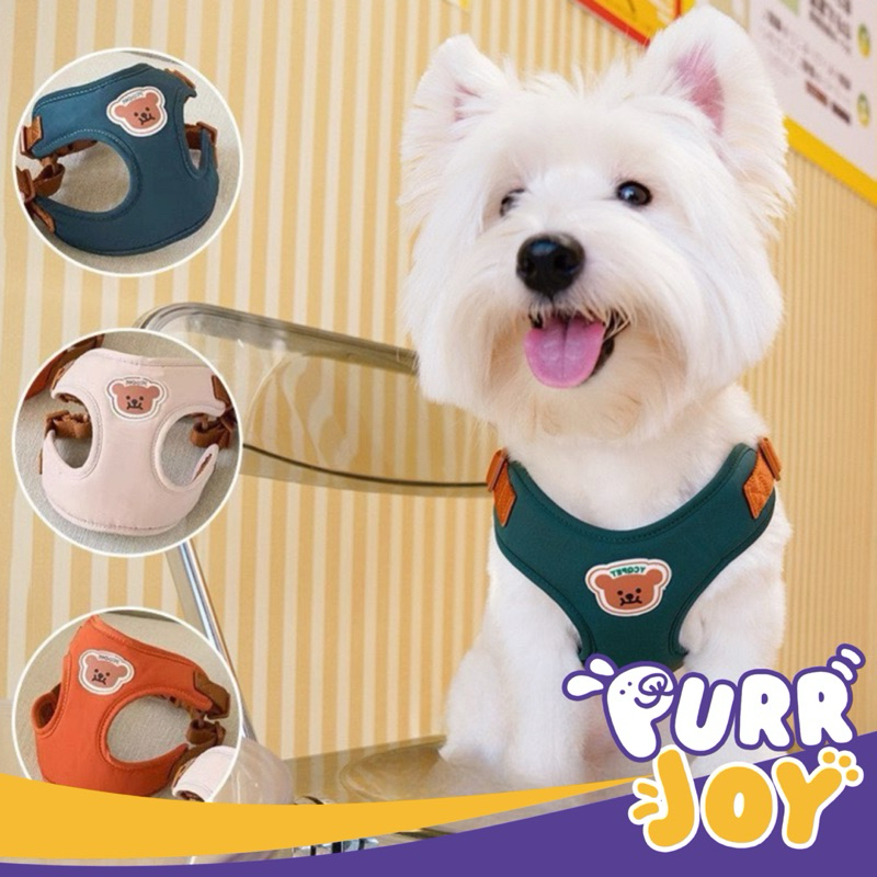 Jual PURRJOY YCQ Pet Harness Set With Leash / Pet Harness Pet Leash ...
