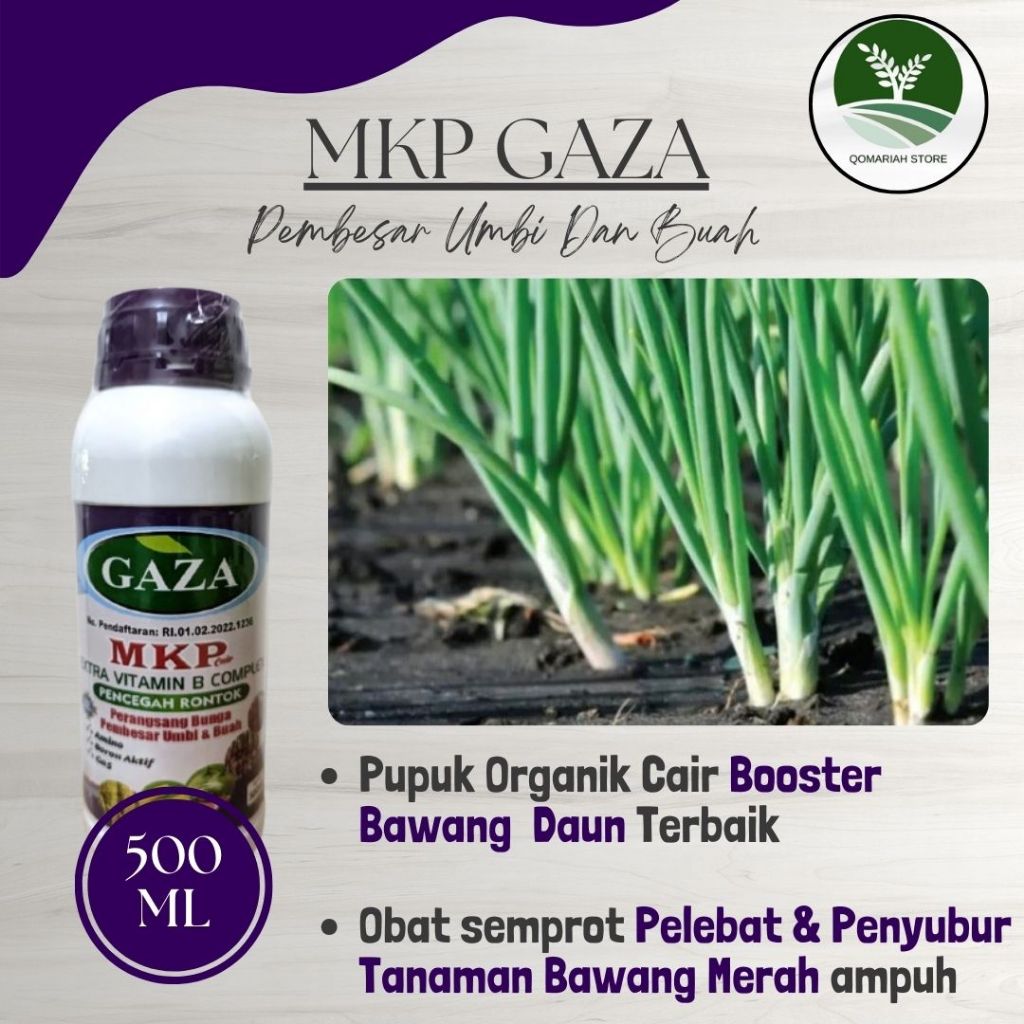 Jual Pupuk Penyubur Pelebat Bawang Daun Merah Terbaik - MKP GAZA 500ml - Pupuk Organik Bawang ...