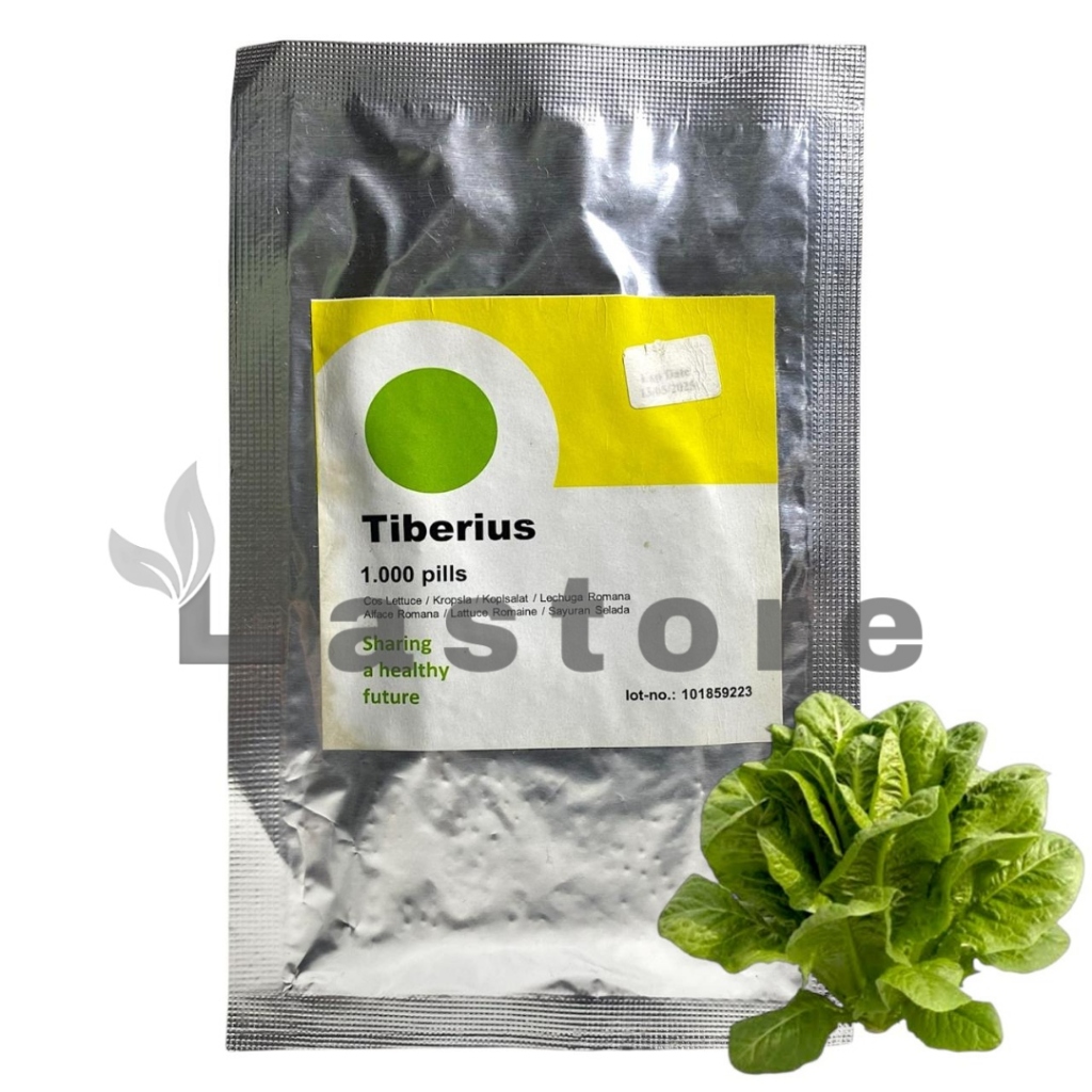 Jual Benih Selada TIBERIUS RZ Isi 1000 Pills Cos Lettuce Romain Rijk ...