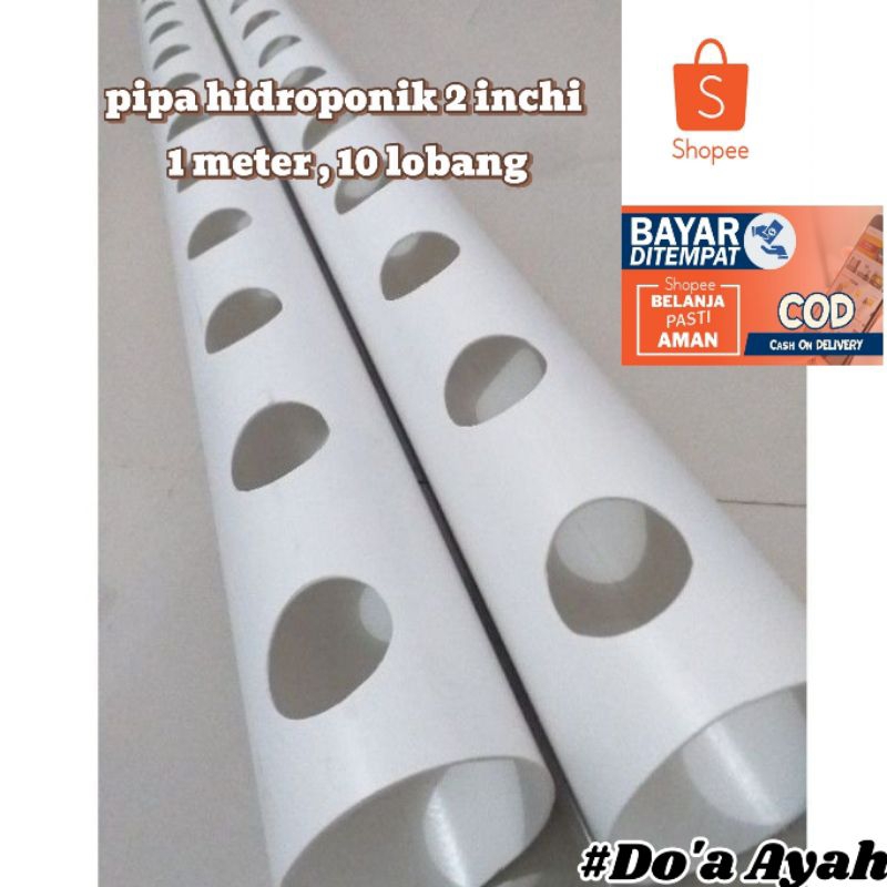 Jual PROMO!! PIPA HIDROPONIK 2 INCHI// PIPA PARALON 1 PCS /panjag 1 ...