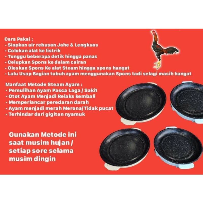 Jual ALAT STEAM UNTUK MANDI AYAM / STEAM AYAM BANGKOK / AYAM LAGA ...