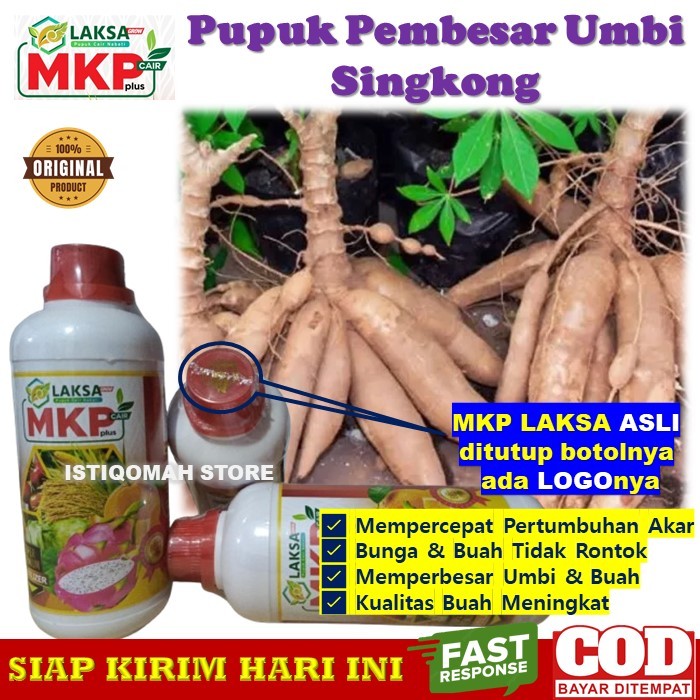 Jual 500ml MKP Cair Plus LAKSA GROW Pupuk Pembesar Umbi Singkong - Pupuk Pelebat Buah Singkong ...