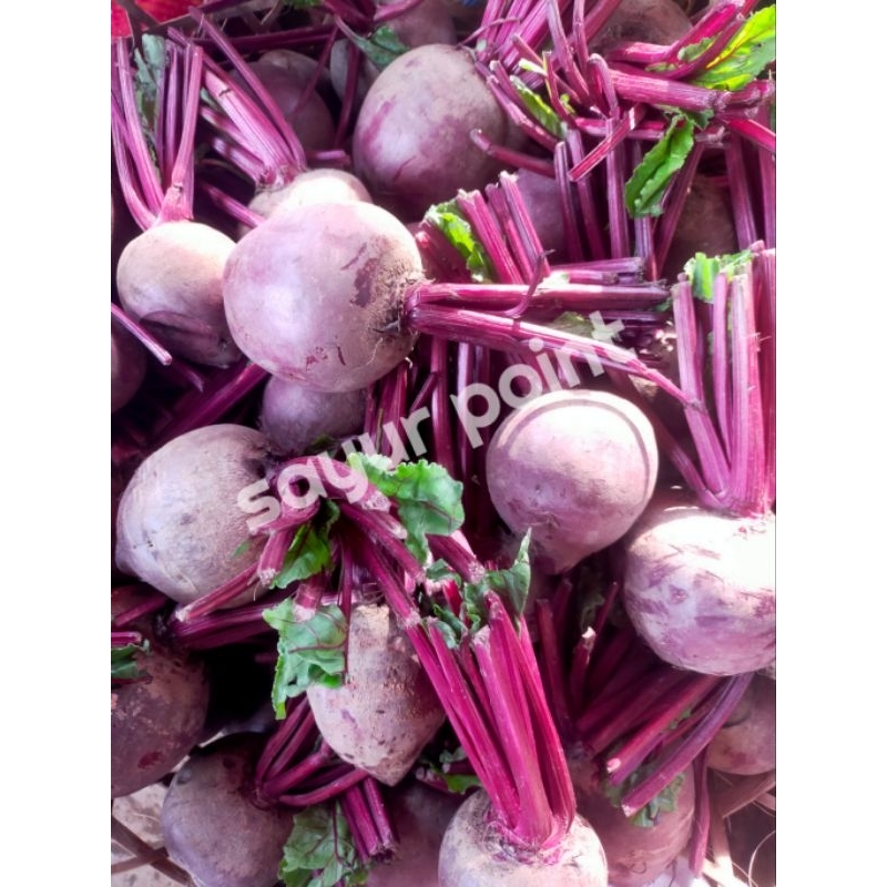 Jual Buah bit merah beetroot 1kg | Shopee Indonesia