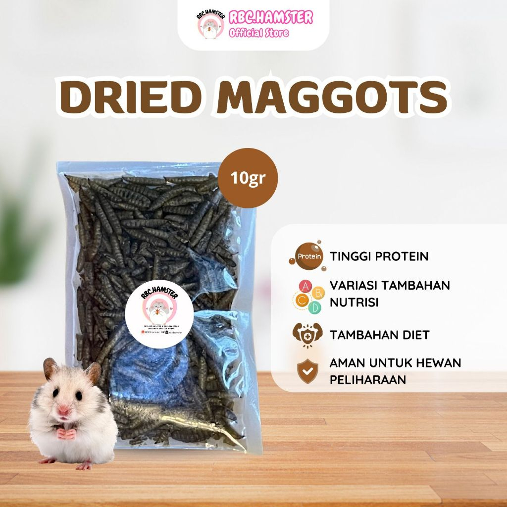 Jual DRY MAGGOTS PREMIUM SNACK HAMSTER BURUNG MAKANAN HEWAN GRADE AA+ ...