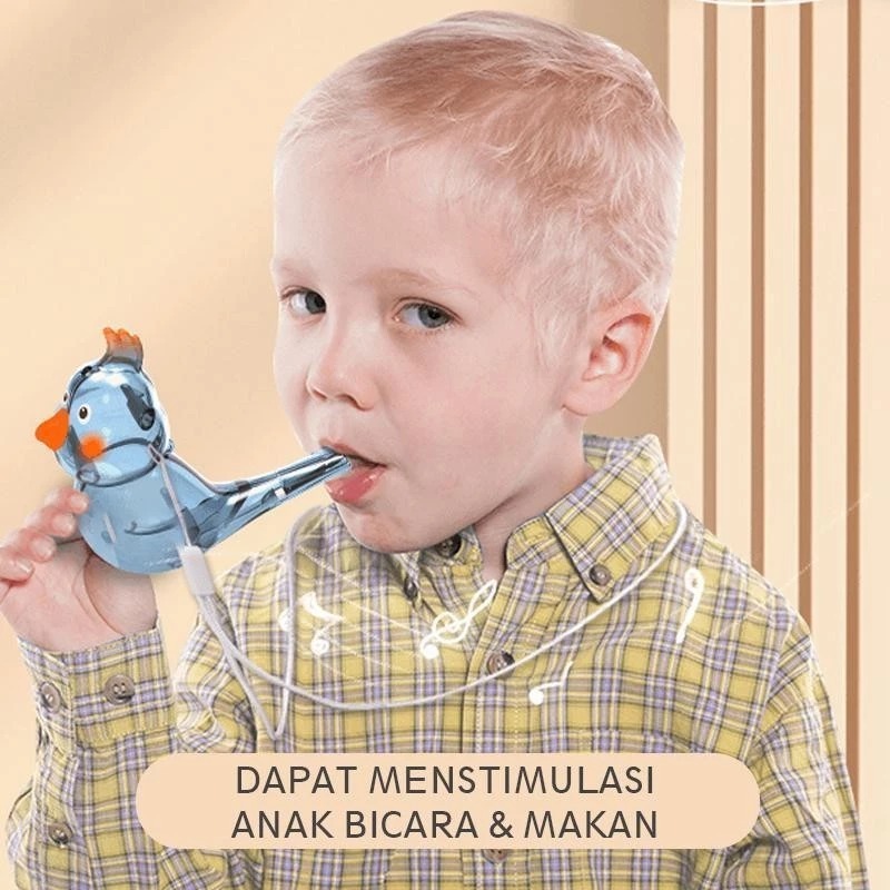 Jual READY BANDUNG PELUIT PLUIT BURUNG BIRD TIUP HOLA ALAT TERAPI ...