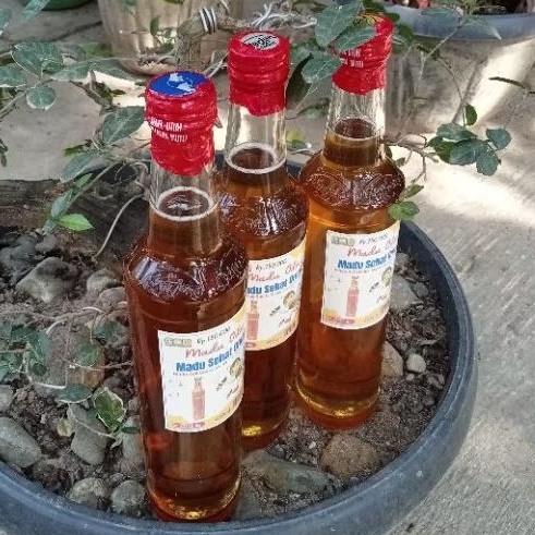 Jual [COD] Madu Murni asli 1kg Multiflora Super Fremium 100% Alami Pure ...