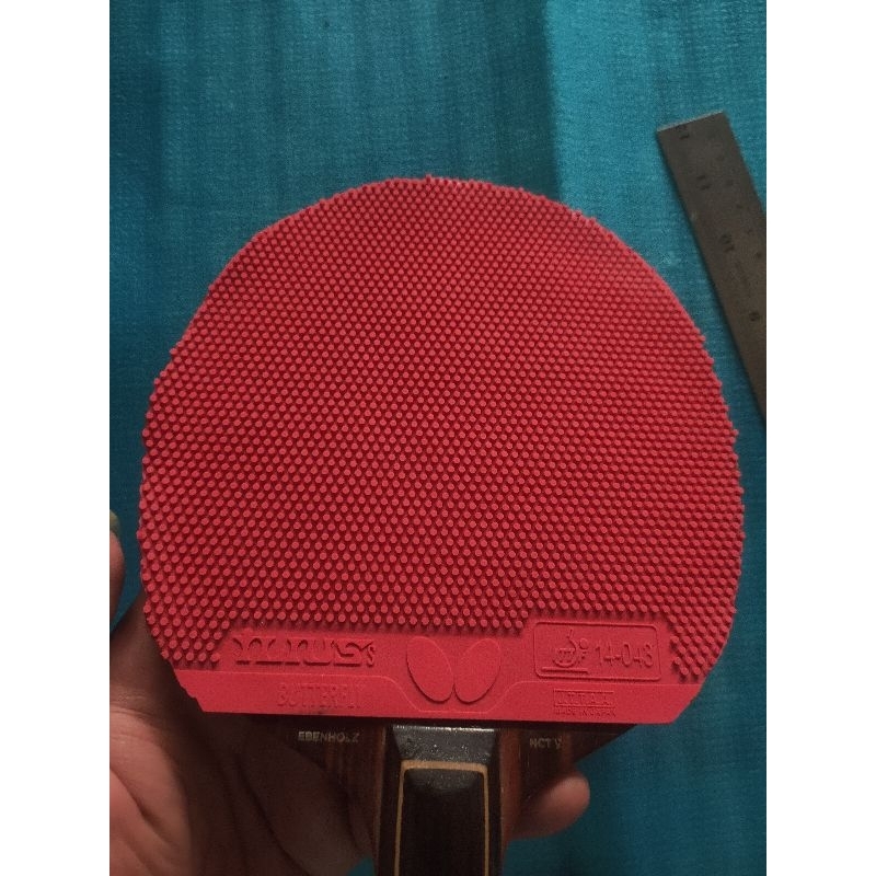 Jual Butterfly Ilius S (Bintik Semi Long) | Shopee Indonesia