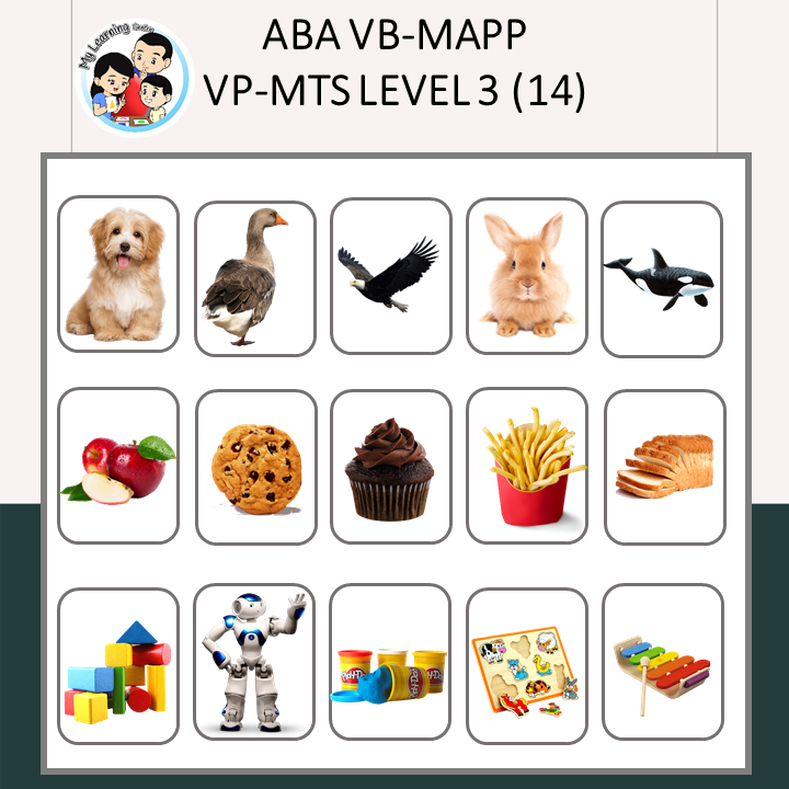 Jual Kartu Belajar ABA-VB VP-MTS Level 3.14 | Shopee Indonesia