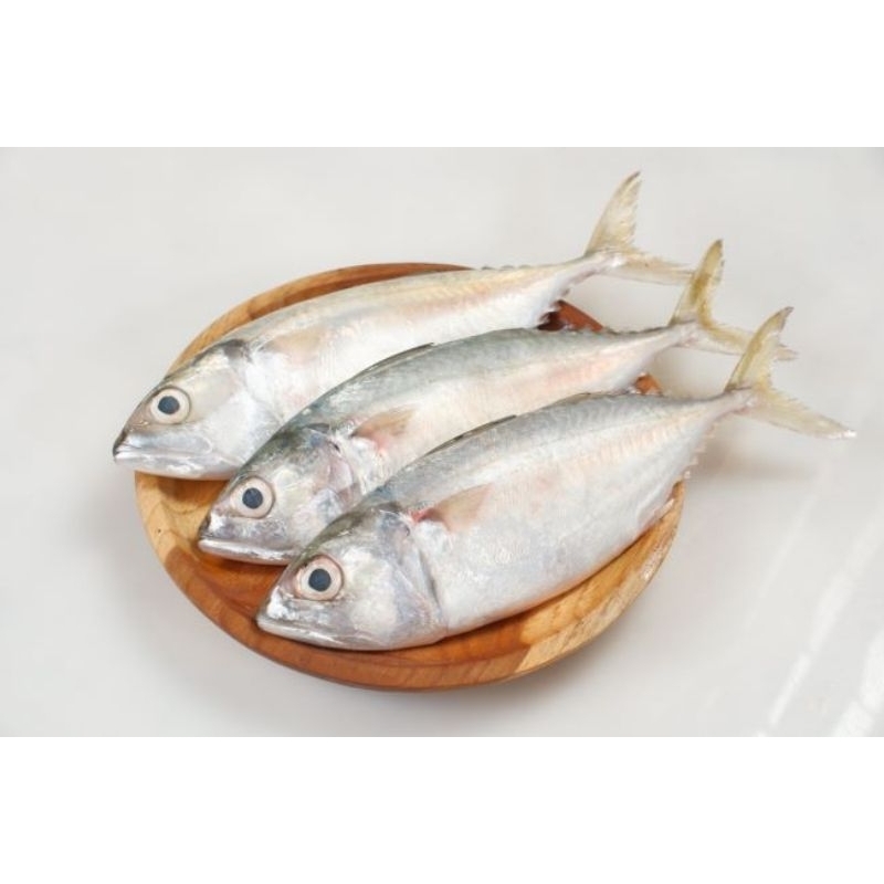 Jual Ikan kembung fresh 500g | Shopee Indonesia