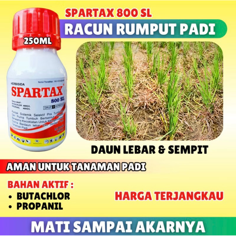 Jual Herbisida Sistemix SPARTAX Racun RUMPUT PADI | Shopee Indonesia