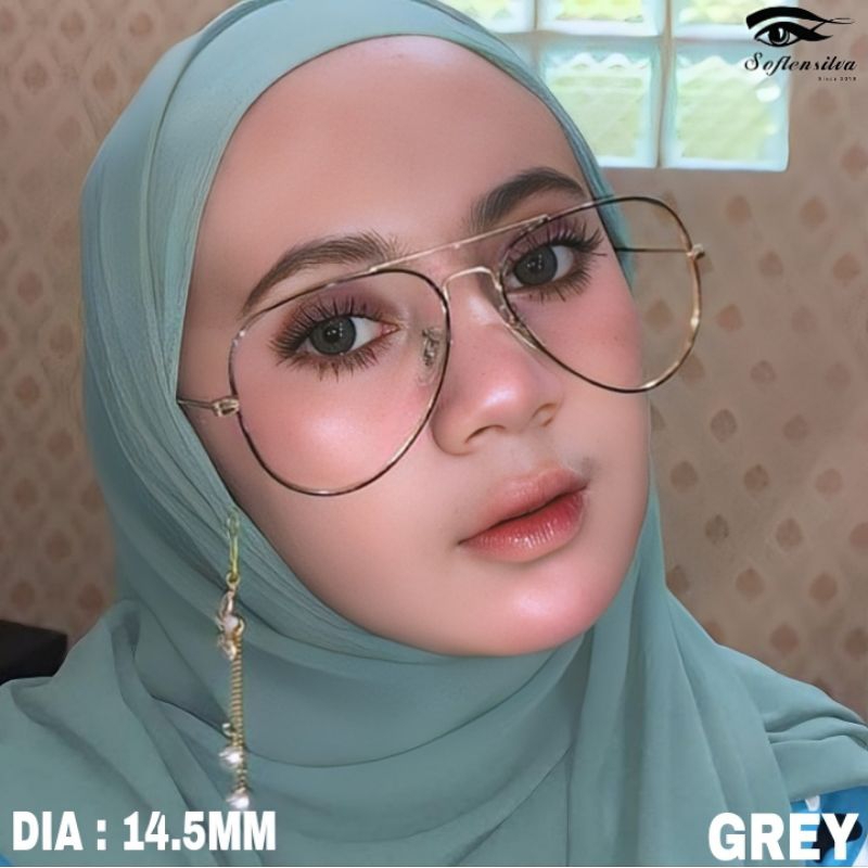 Jual SOFTLENS KIN S GREY / BROWN KEMASAN BOTOL HARGA SEPASANG DIA 14 ...