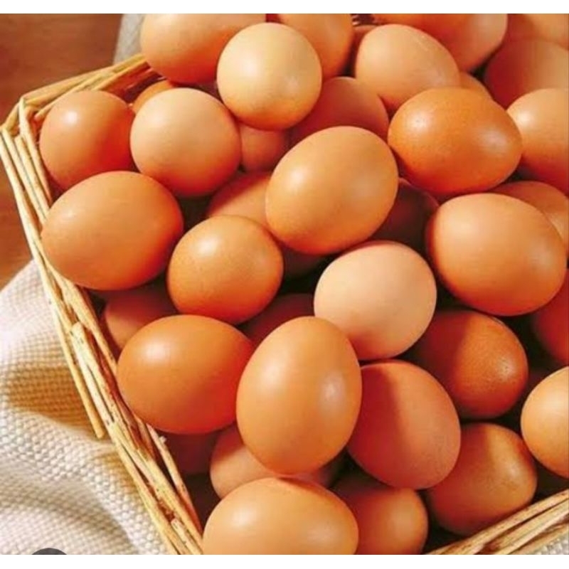 Jual Telur Ayam Isi 15 Pcs | Shopee Indonesia