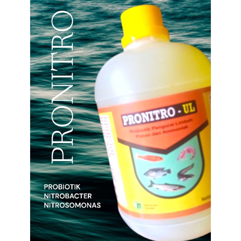 Jual Probiotik Nitrobacter Nitrosomonas untuk Budidaya Ikan dan Udang PRONITRO UL 1 liter ...