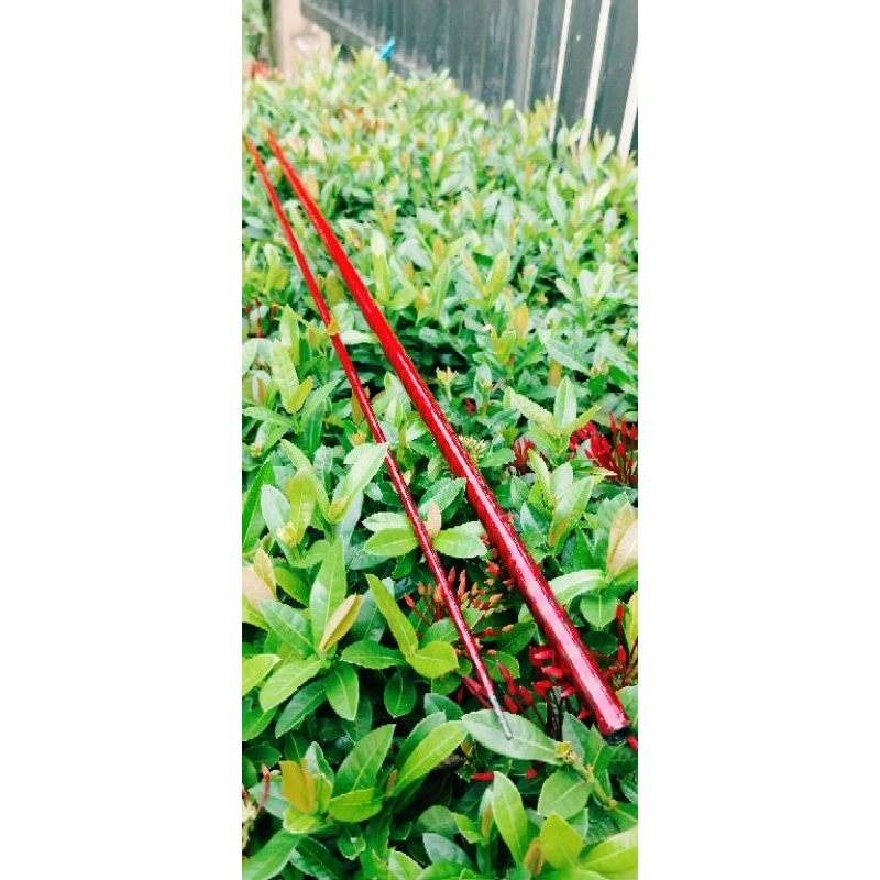 Jual Blank Red Ulir Karbon Holo | Shopee Indonesia