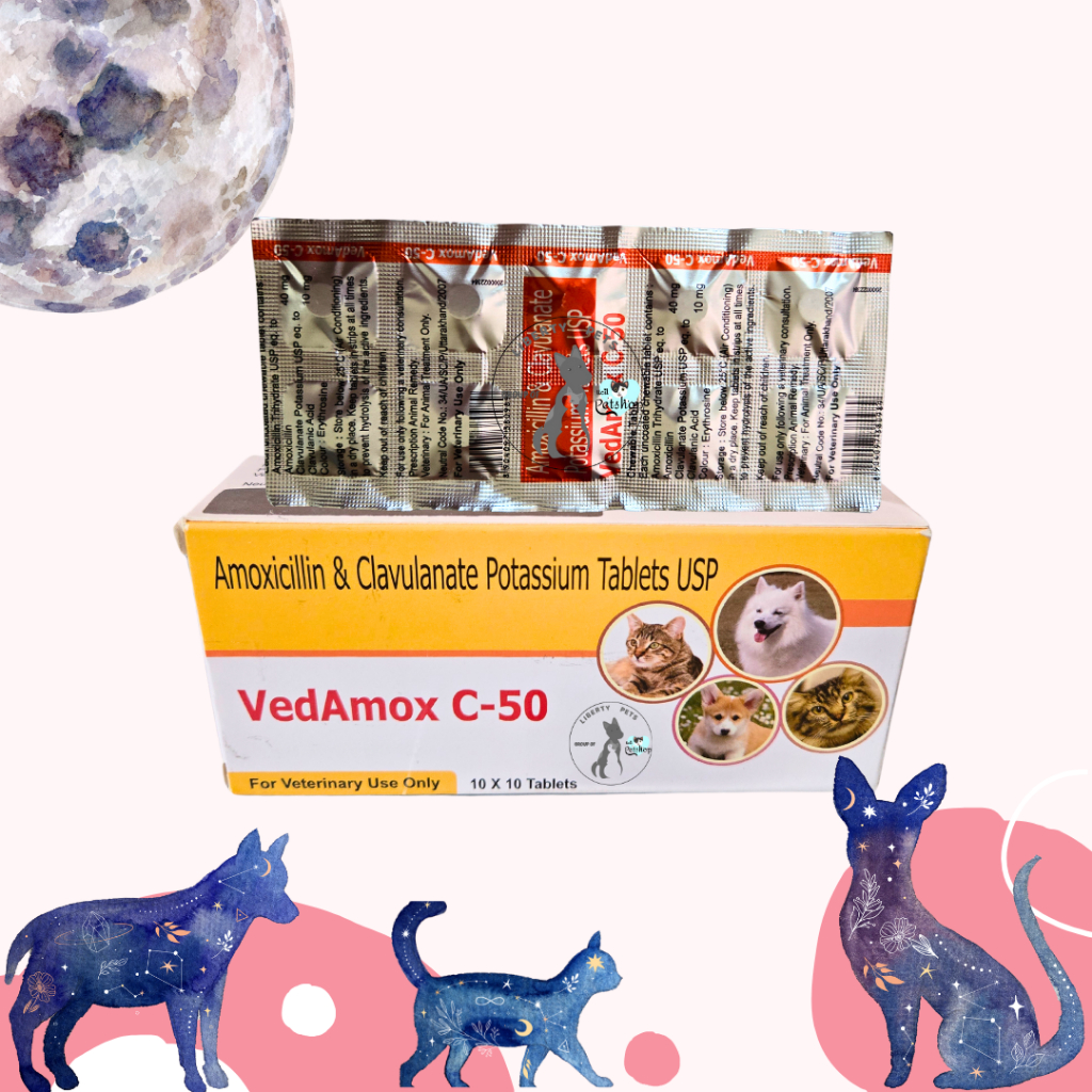 Jual VedAmox C-50 Chewable Tablet Kunyah (1 Box = 100 Tablet) Infeksi ...