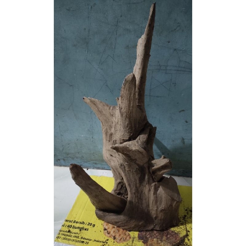 Jual kayu Sono untuk dekorasi hiasan realpic sesuai gambar 6kg | Shopee ...