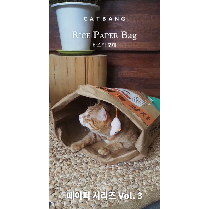 Jual CATBANG Rustling Rice Paper Bag Hideaway - Mainan Kucing Cat Bang ...