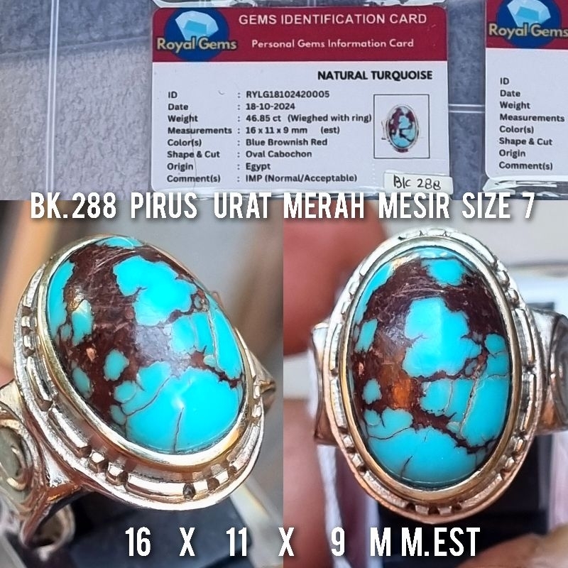 Jual NATURAL PIRUS URAT MERAH MESIR. KWALITAS KELAS PEJABAT PLUS MEMO ...