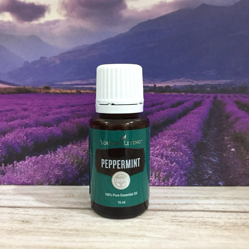 Jual Peppermint Young Living Essential Oil 15ml Original Segel | Shopee Indonesia