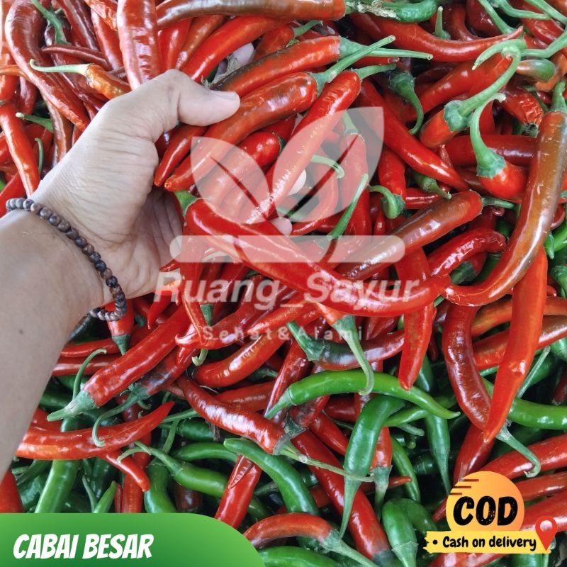 Jual Cabai Merah Besar , Cabai Merah Besar 500 Gram, Cabe Besar ...