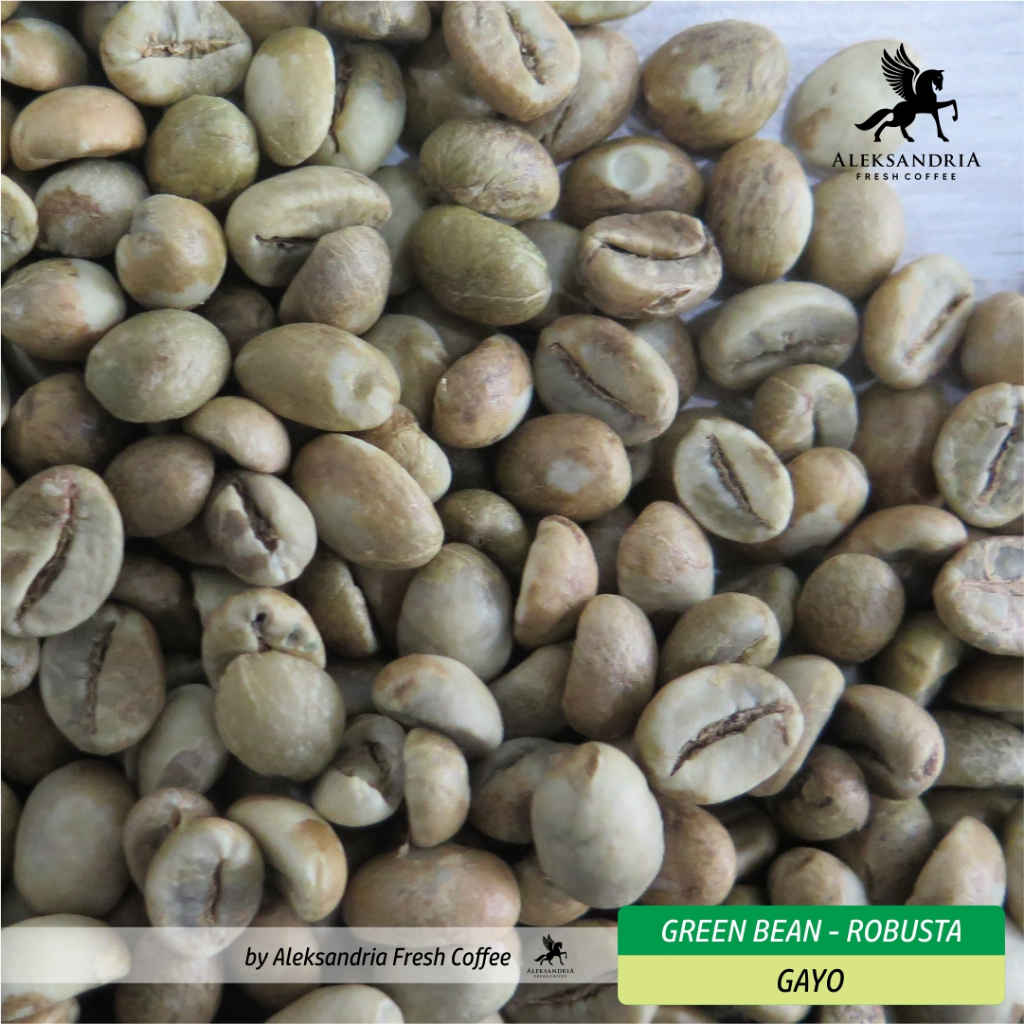 Jual Green Bean Robusta Gayo | 500 gr & 1 kg | Shopee Indonesia