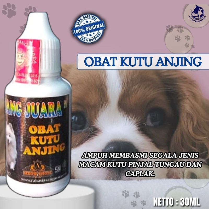 Jual Obat Anti Kutu Anjing 30ml Rahasia Sang Juara - Basmi Kutu, Pinjal ...