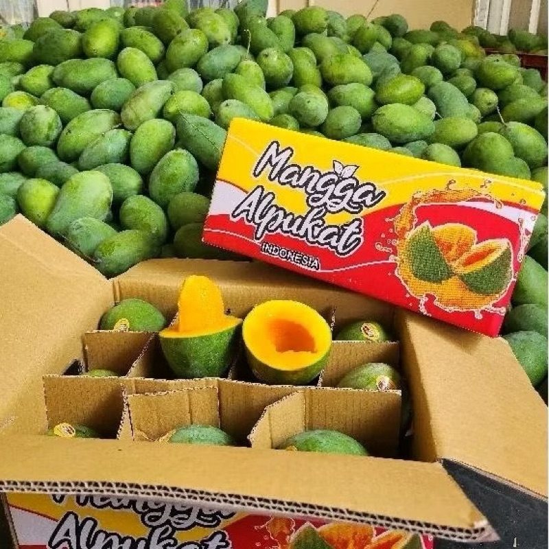 Jual Mangga Alpukat Mangga Harum Manis Asli Mangga Kardus 5kg Masak ...