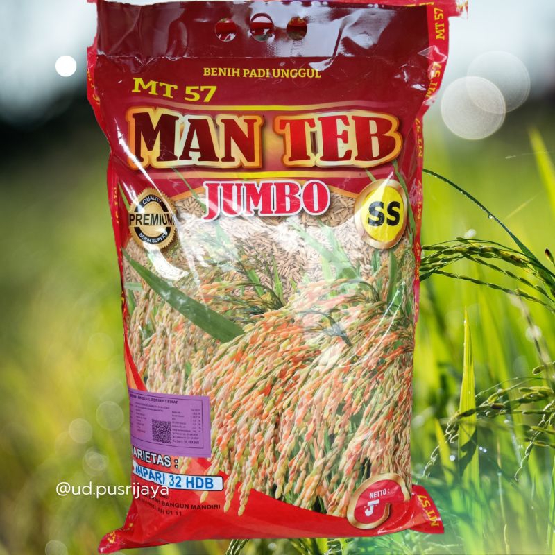 Jual Benih Padi INPARI 32 HDB MANTEB JUMBO Kemasan 5KG | Shopee Indonesia
