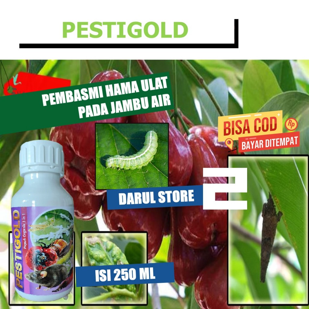 Jual Pestisida Hama 250 ml Jambu Air PestiGold Mengatasi Ulat Jambu Air ...