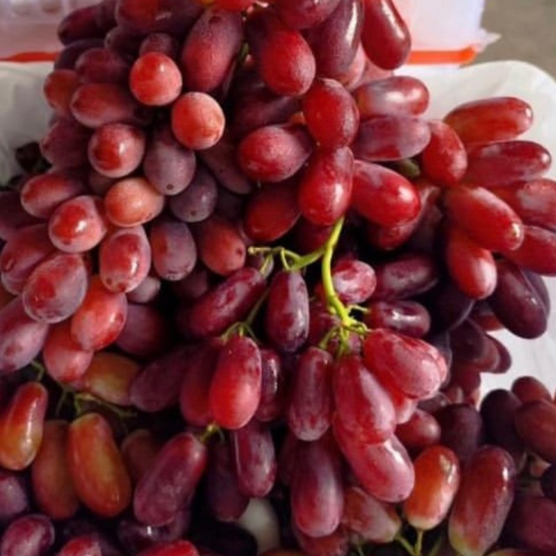 Jual Anggur Merah Crimson Seedless Fresh 500gr | Shopee Indonesia