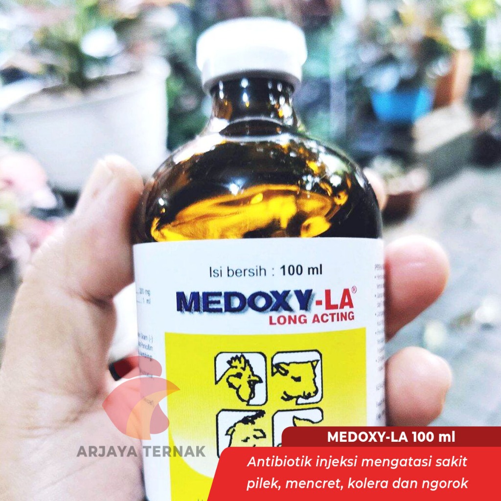Jual Medoxy LA 100ml obat antibiotik injeksi sapi domba kambing kuda ...